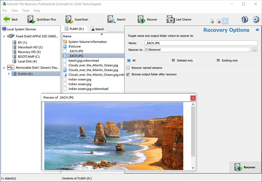 Find and Restore Lost Files: Undelete deleted files and recover damaged ...